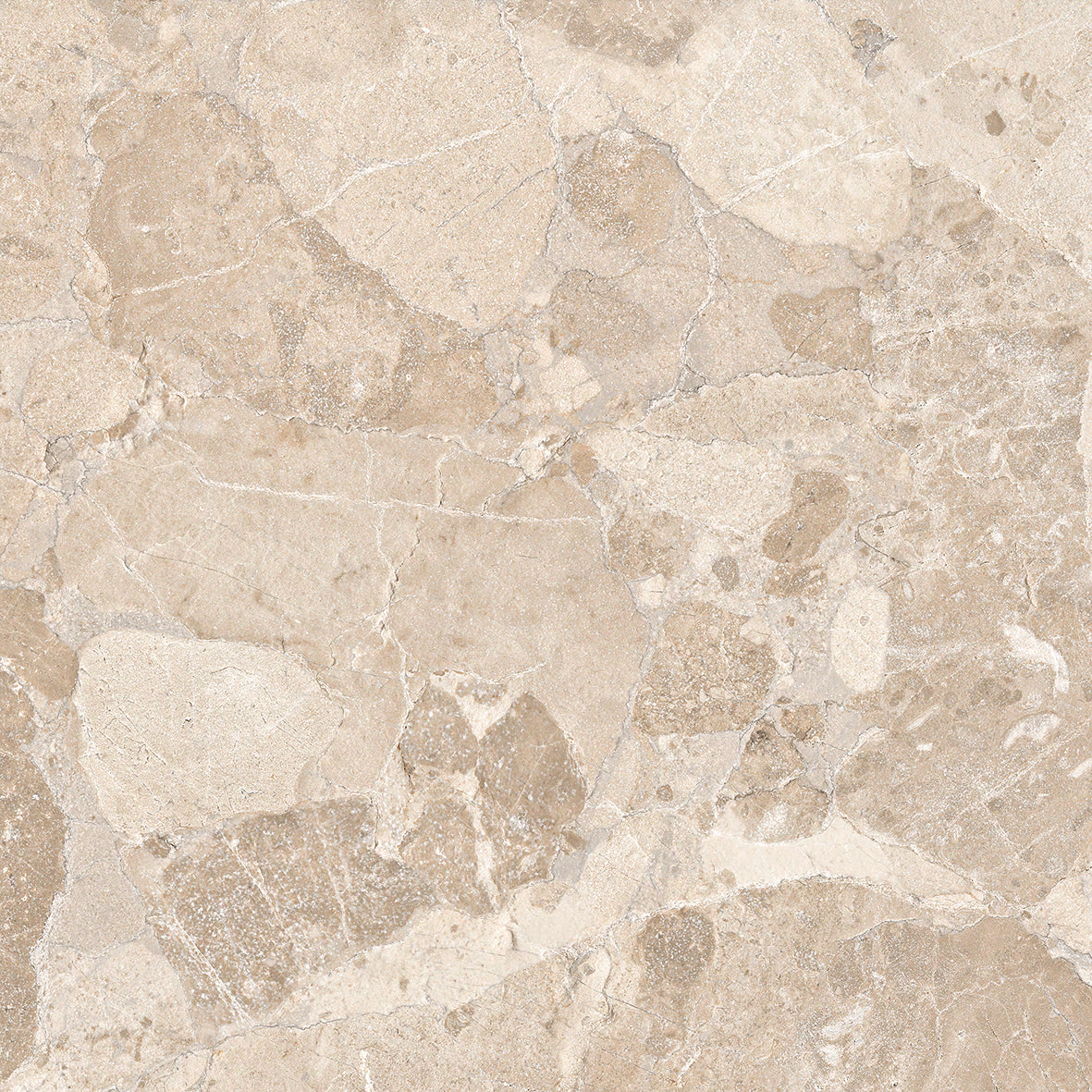 CUT TILE SAMPLE Riad Avorio Sassi Terrazzo Stone | Wall & Floor Tiles — Your Tiles
